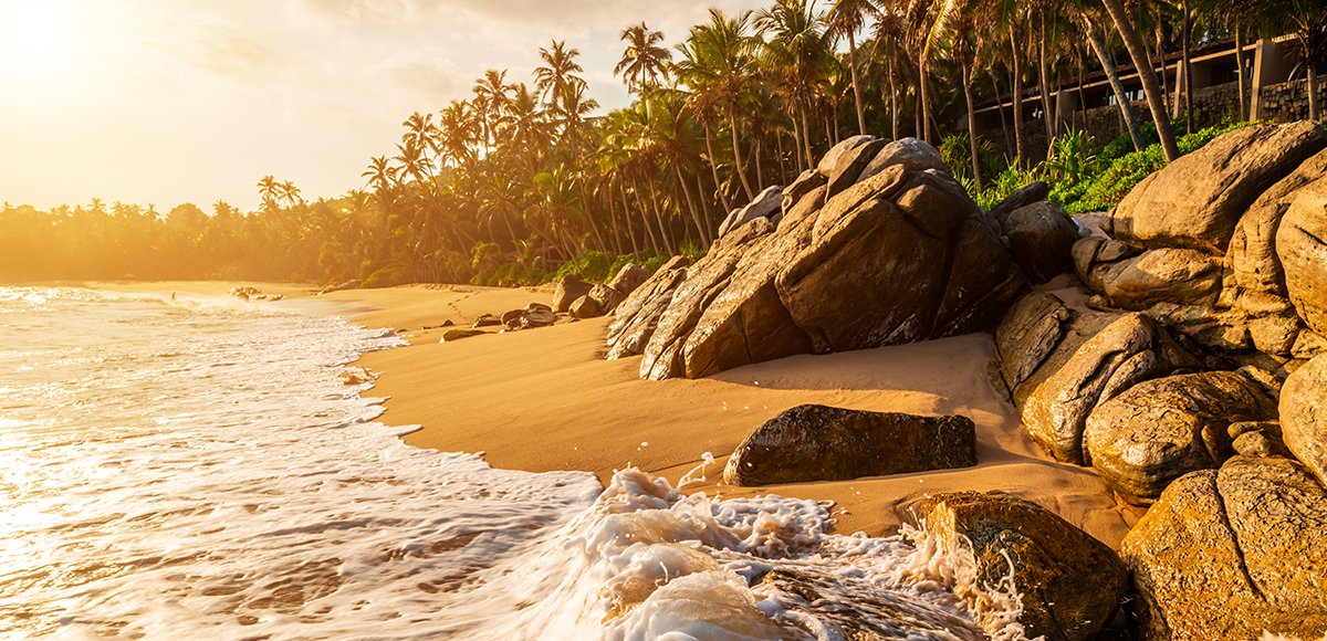 Barbados Has A New Passport Passeport